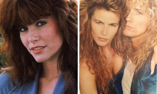 Tawny Kitaen: Whitesnake Video Girl, 80s Pinup Model & Actress