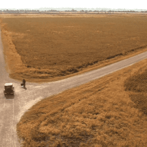 Sara Dylan: Muse & First Wife of Folk Rock Legend Bob Dylan